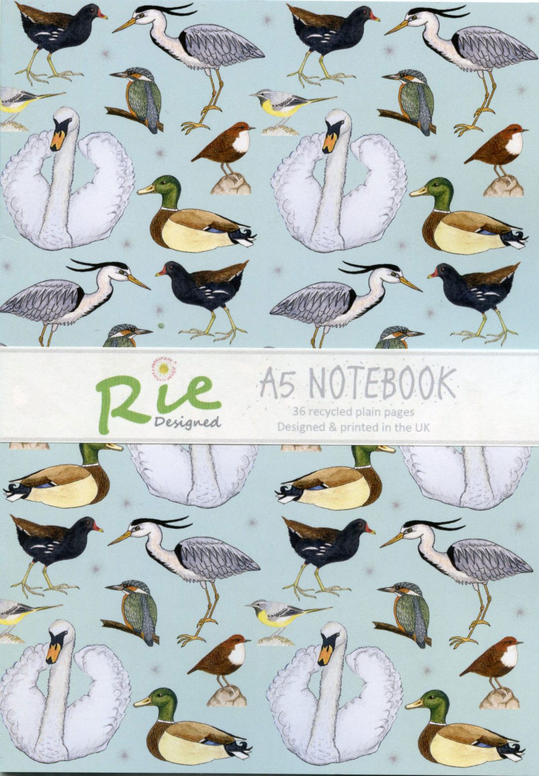 British Garden Birds Identification A3 Card Poster, Art Print