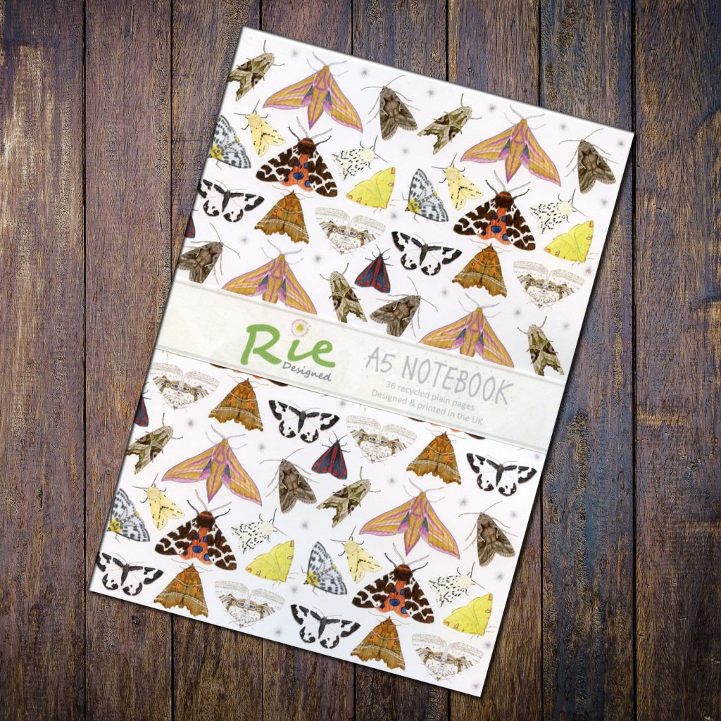 Moths A5 Plain Paper Recycled Notebook