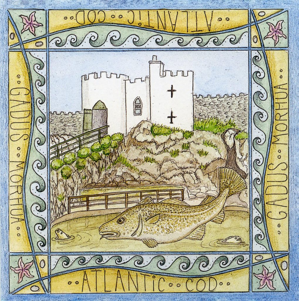 Cod Logan Fish Pond Greetings Card