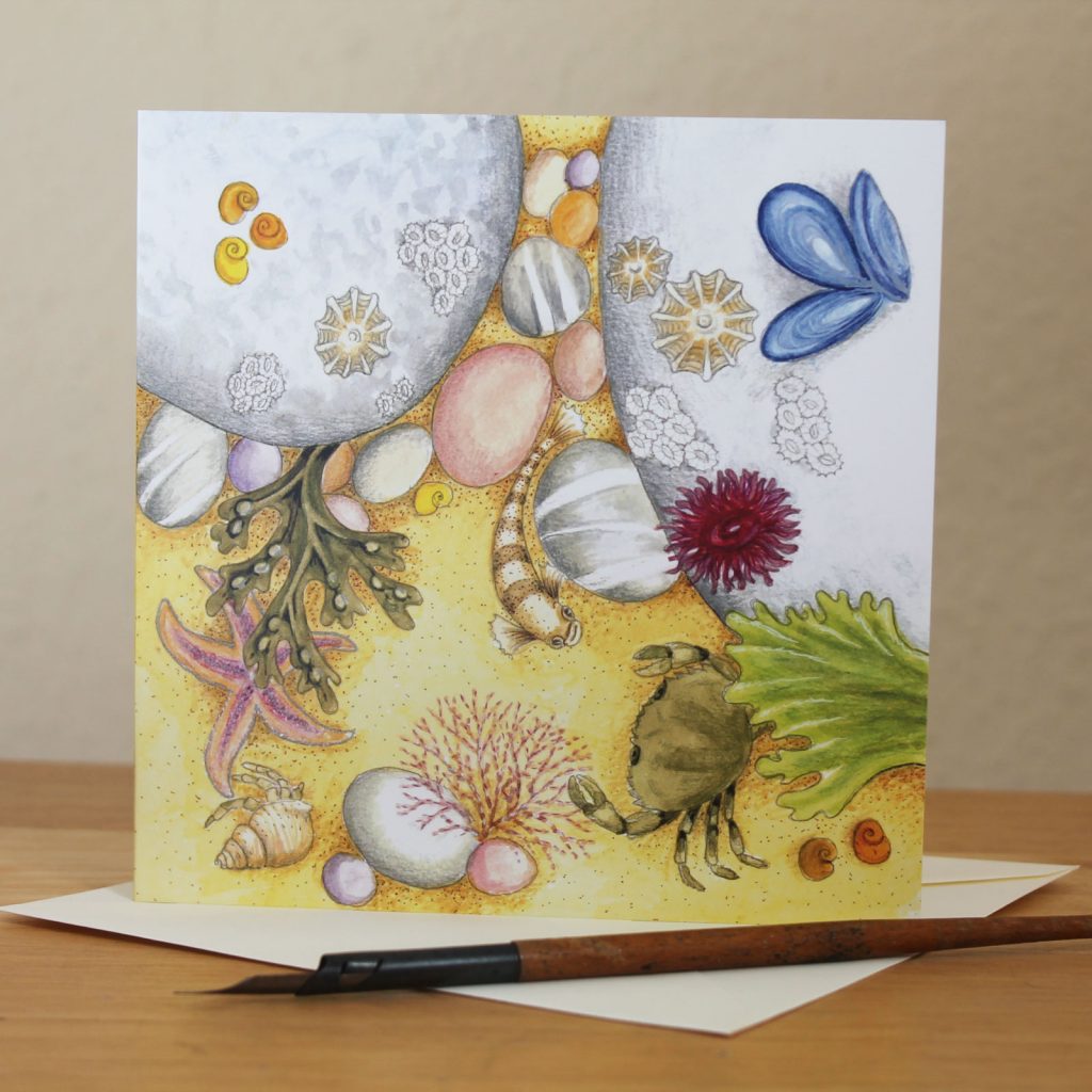 Rockpool Blank Square Greetings Card