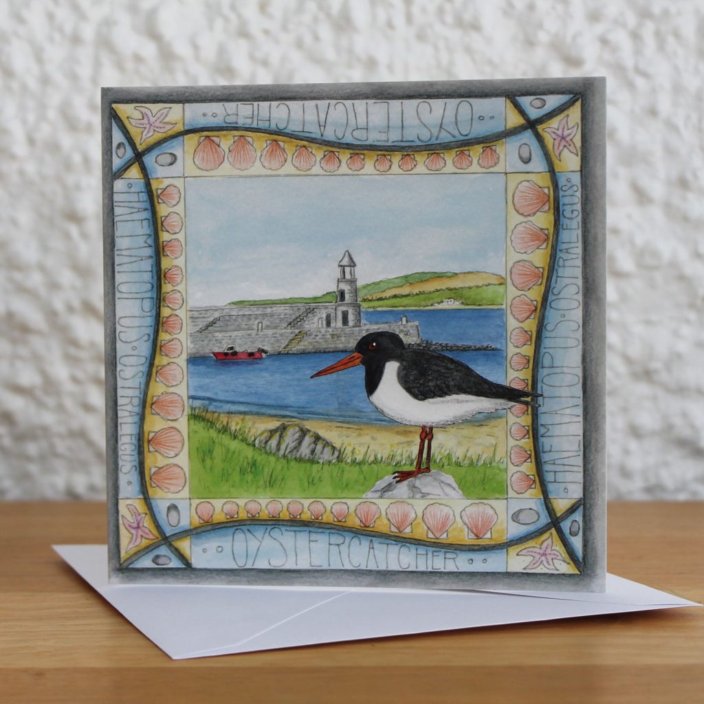 Oystercatcher, Port Logan, Dumfries & Galloway Greetings Card – Rie ...