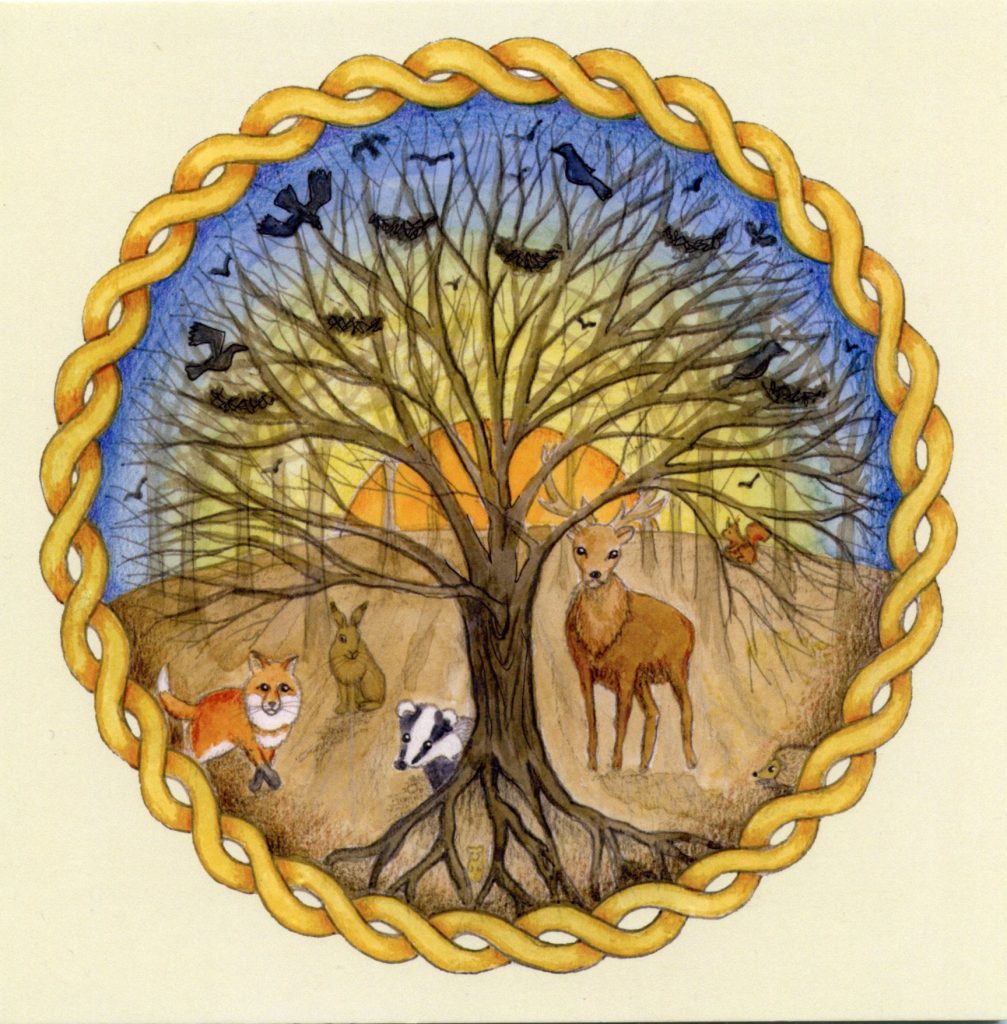 Celtic Forest Blank Square Greetings Card