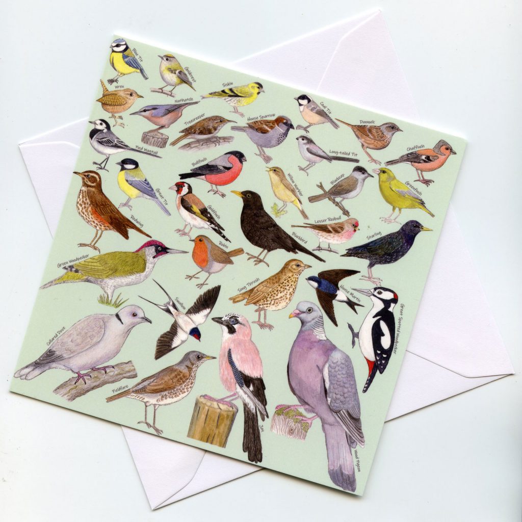 Garden Birds Greetings Card