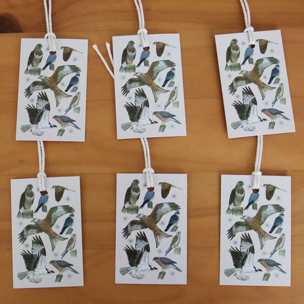 British Bird of Prey Gift Wrap, Quality Bird Wrapping Paper