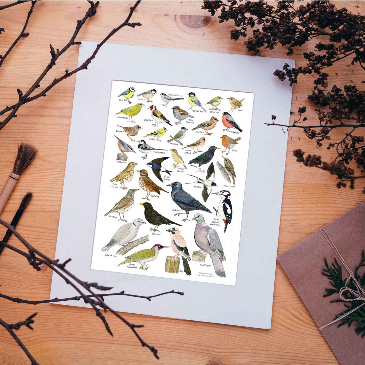 British Garden Birds Identification A3 Card Poster, Art Print