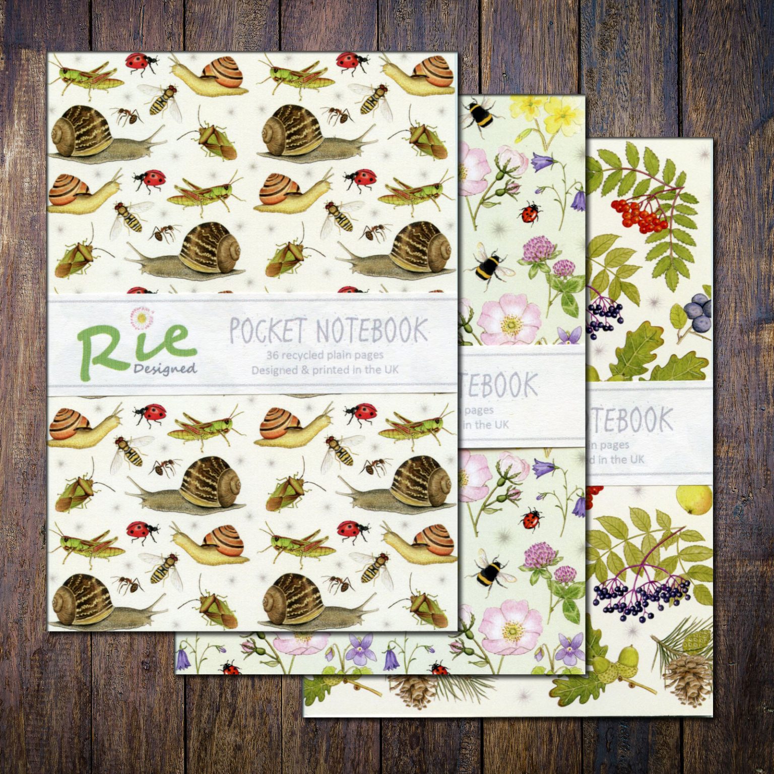 Minibeasts A6 Plain Paper Recycled Notebook