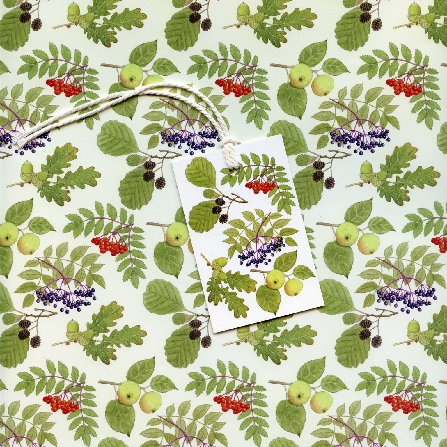 British Tree Leaves Identification A3 Poster, Art Print