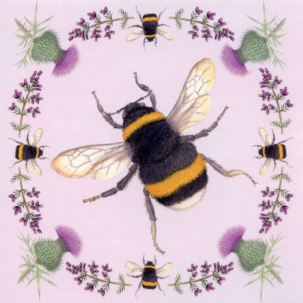 Bumblebee Blank Square Greetings Card