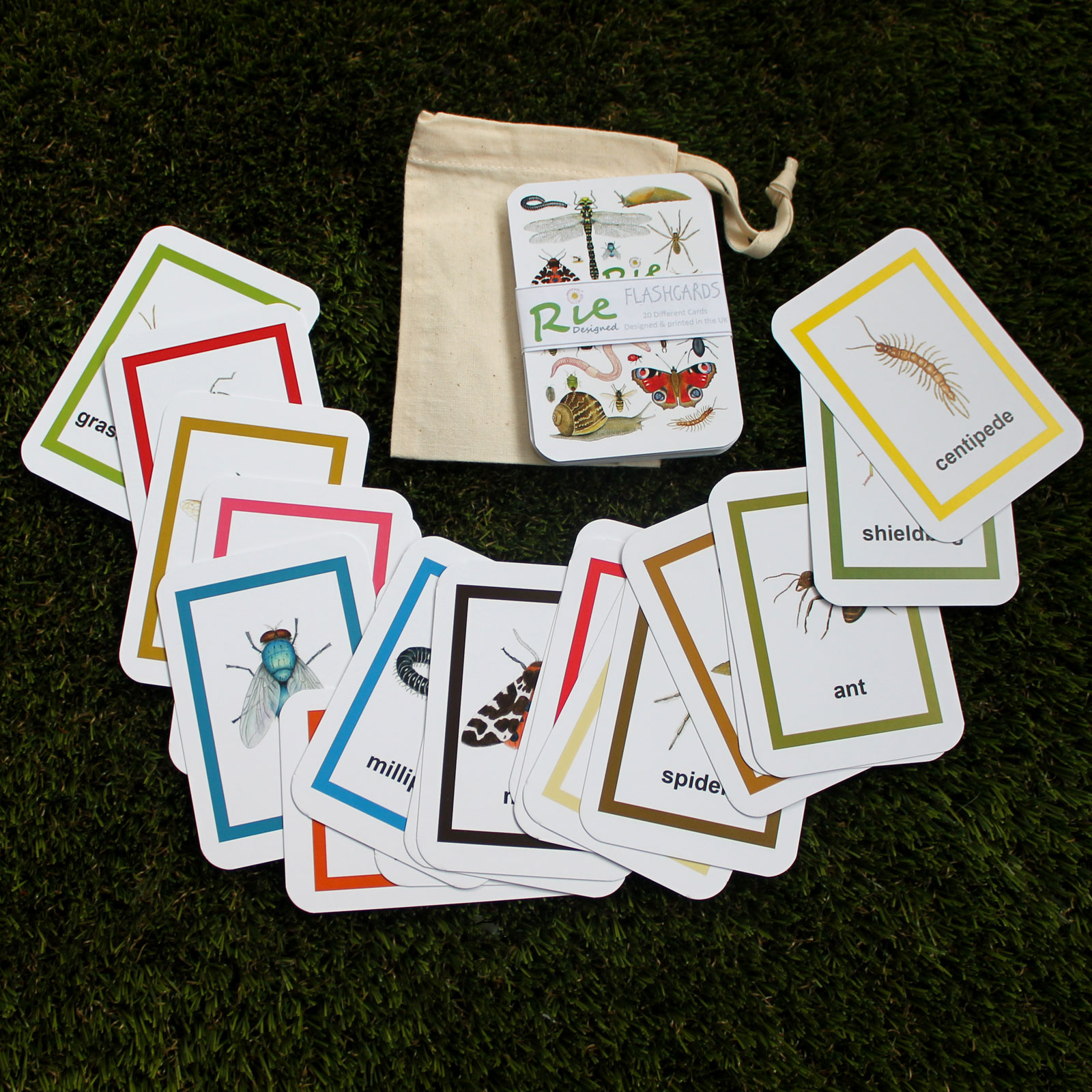 Pack of 20 Minibeast flash cards realistic insects bugs