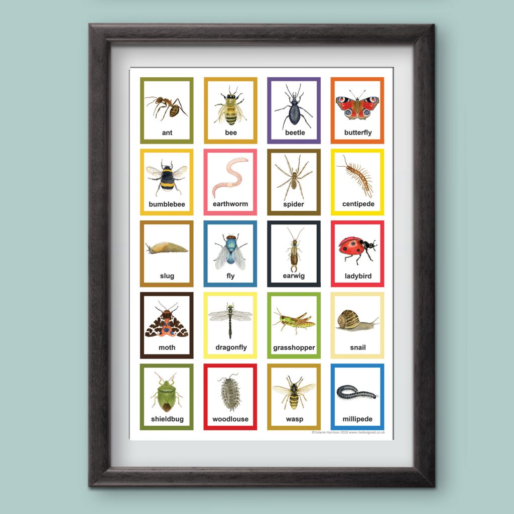 Garden Minibeasts Identification A3 Poster, Art Print, Chart