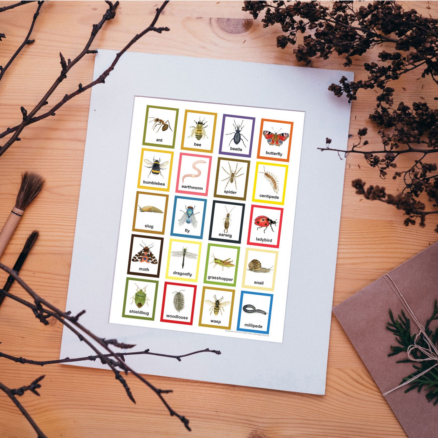 Garden Minibeasts Identification A3 Poster, Art Print, Chart