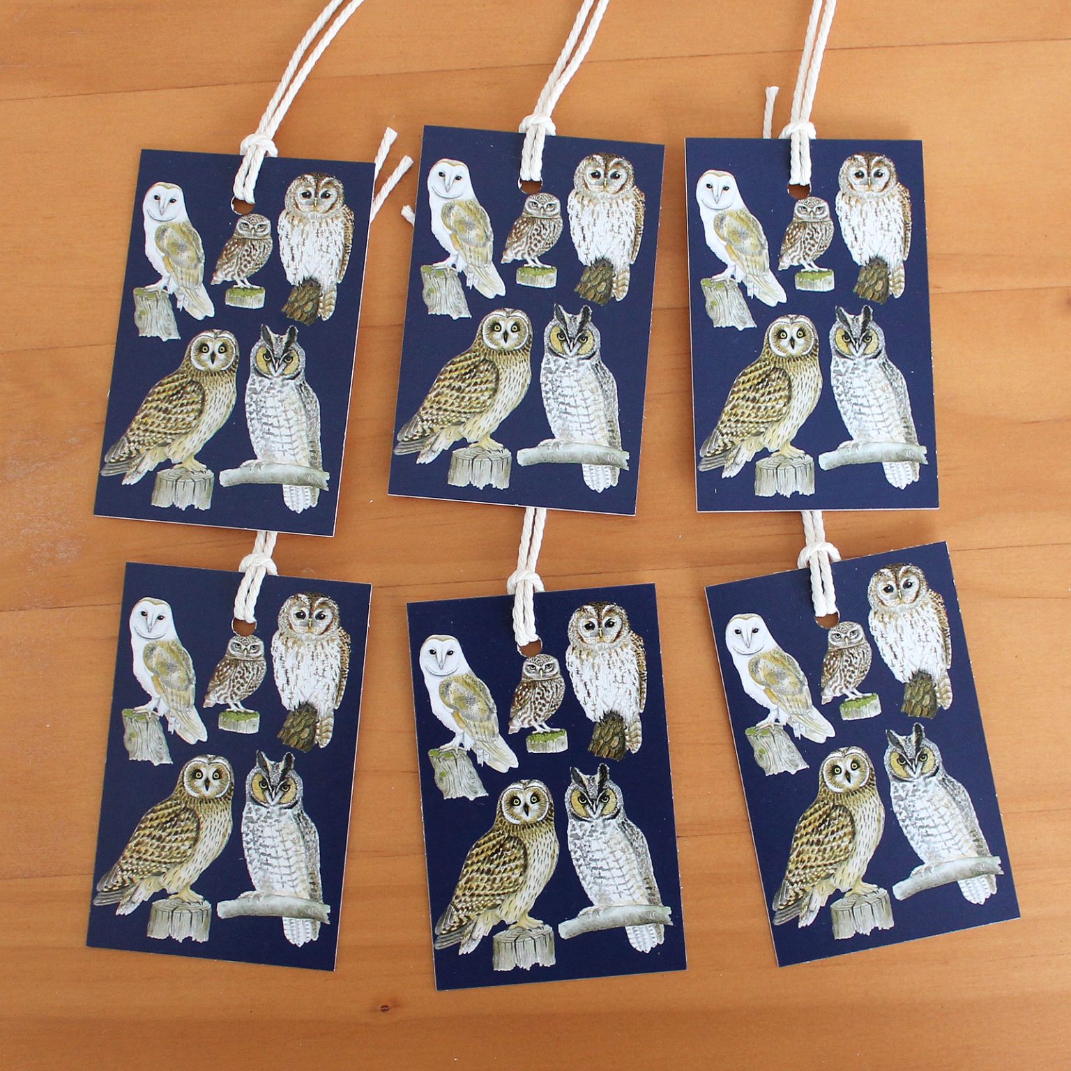 British Owls Gift Wrap and Tags – Rie Designed