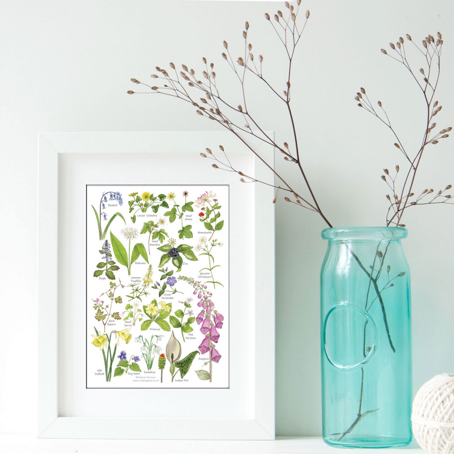 Woodland Wild Flowers Identification A5 Chart, Art Print