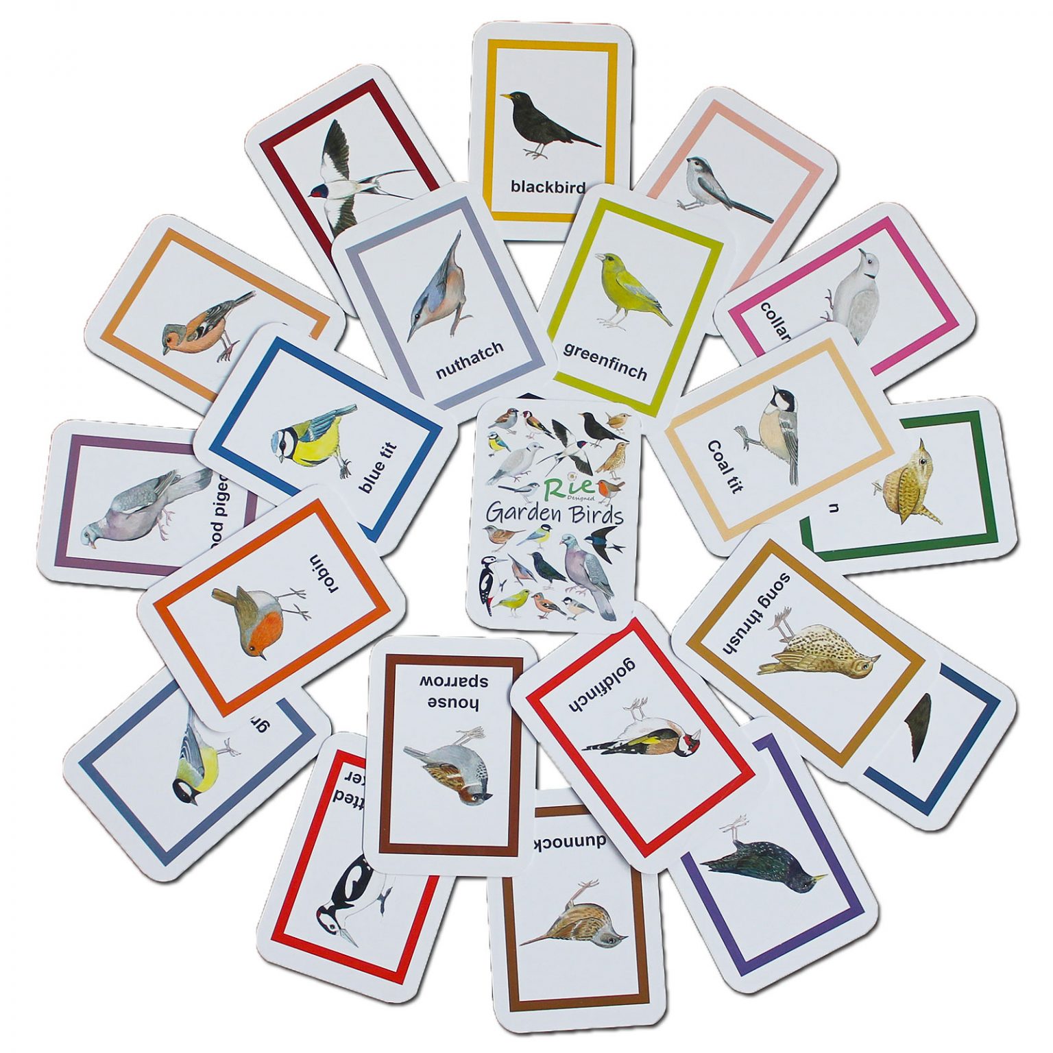 Pack of 20 Garden Birds flash cards