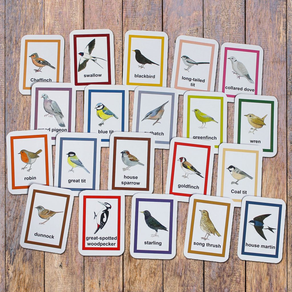 Pack of 20 Garden Birds flash cards