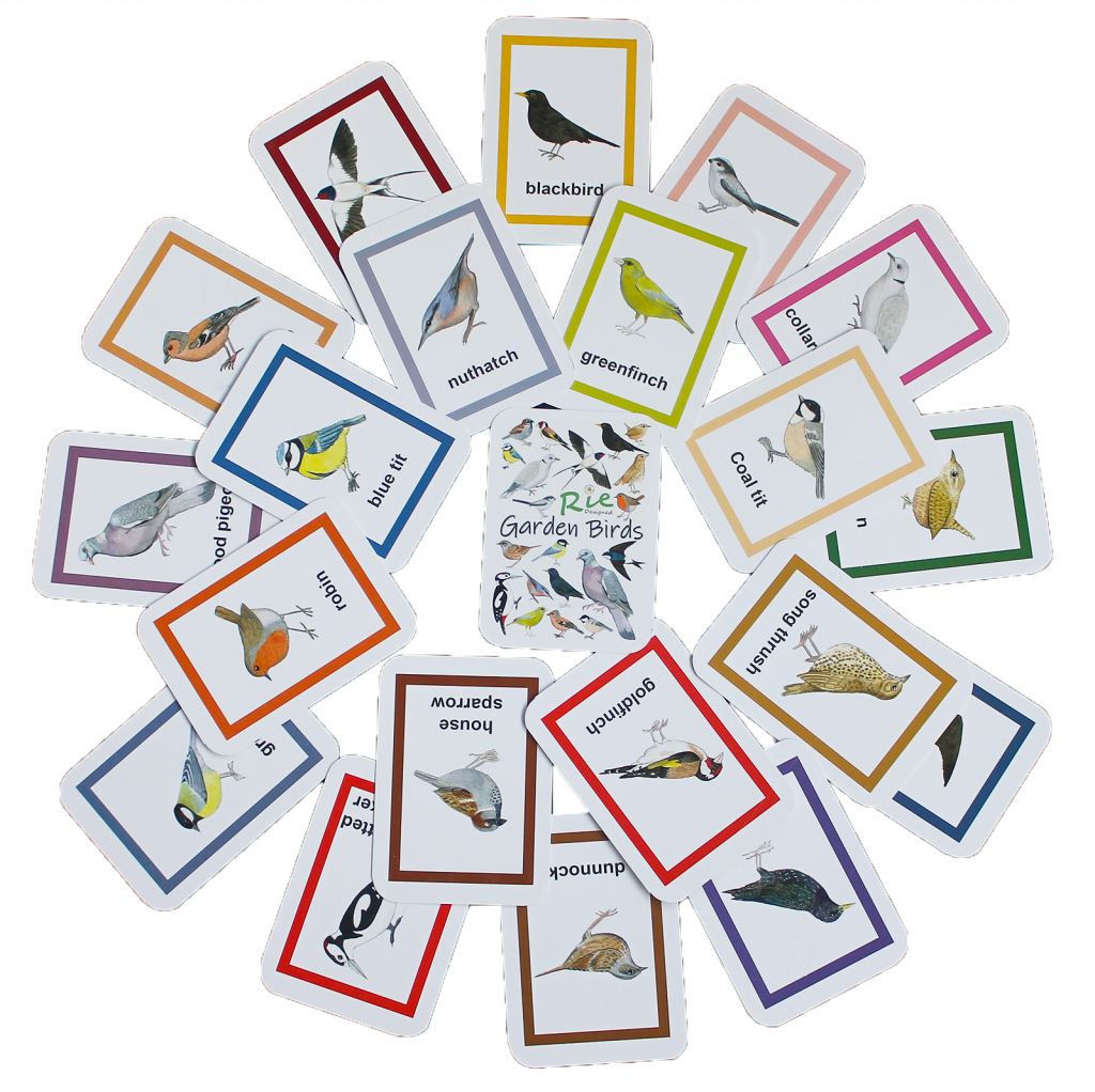 Pack of 20 Garden Birds flash cards