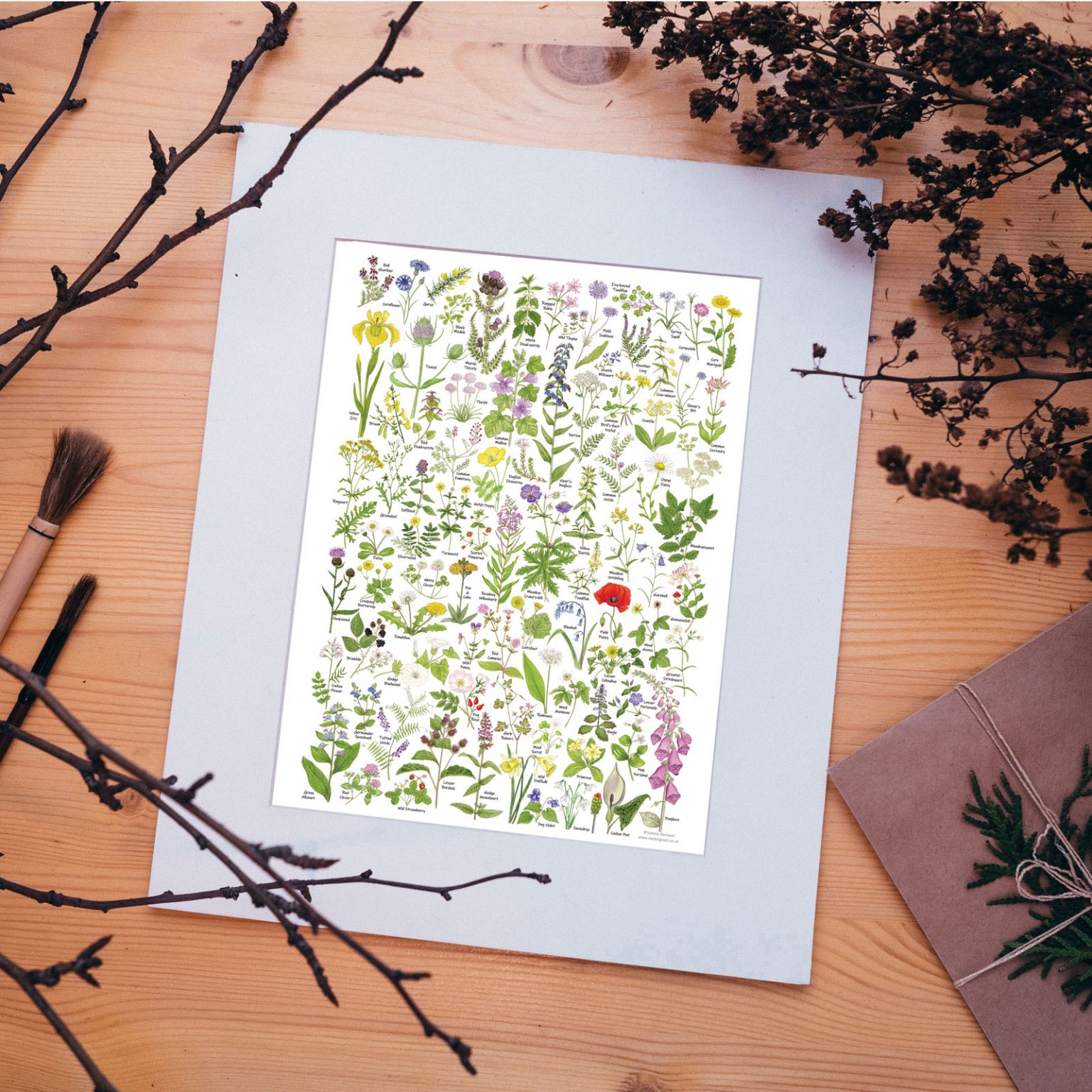 British Wild Flowers Identification A3 Poster, Art Print, Chart