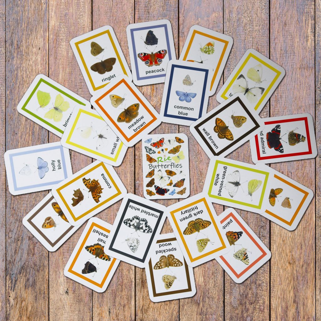 British Butterflies Flash Cards, Identification cards – Rie Designed