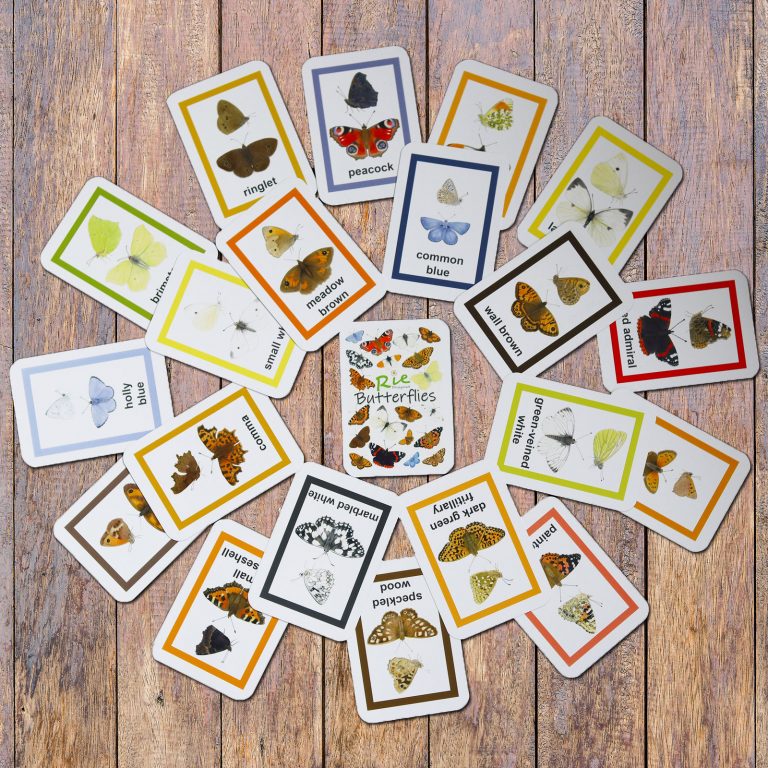 Nature Flash Cards - Rie Designed
