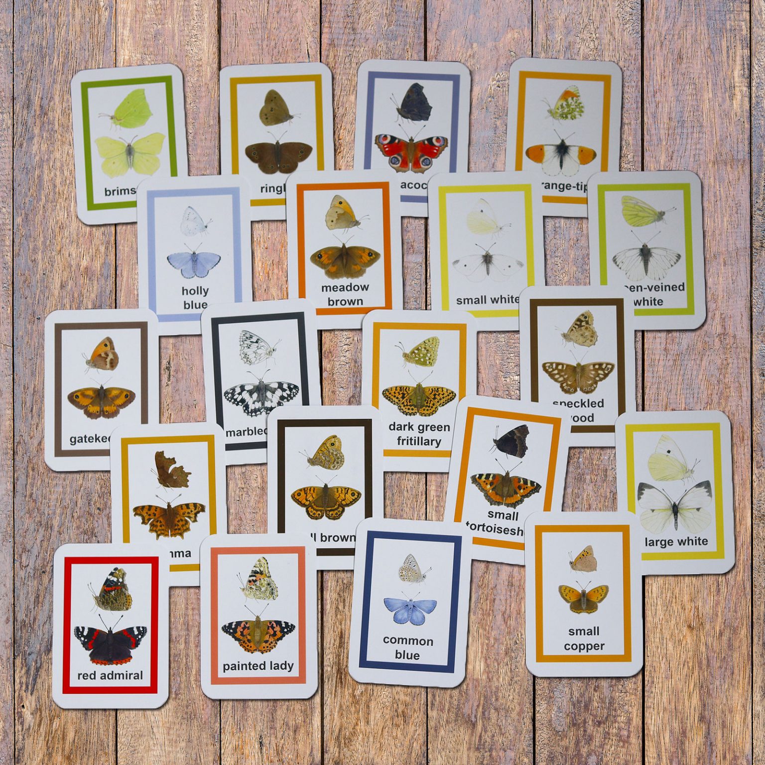 Pack of 20 British Butterflies Flash Cards, Identification cards