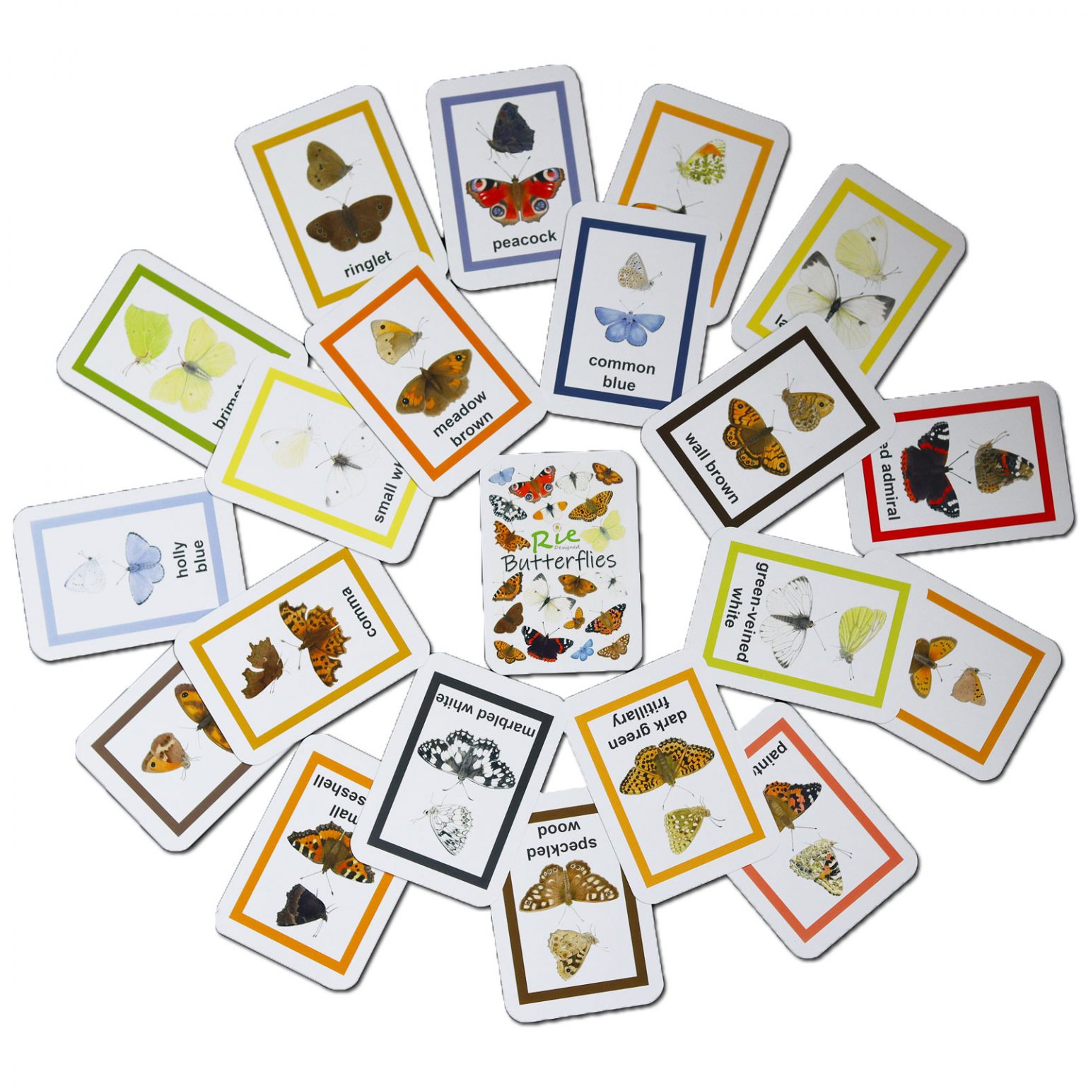 Pack of 20 British Butterflies Flash Cards, Identification cards