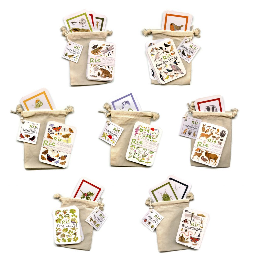 Pond & Stream Flash Cards, Pond Dipping Identification cards