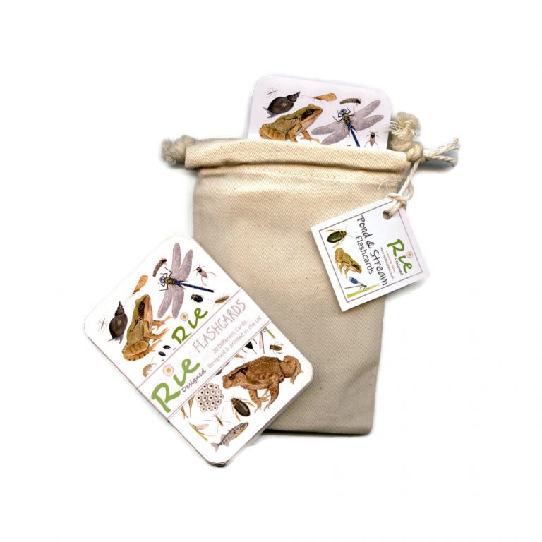 Pond & Stream Flash Cards, Pond Dipping Identification cards