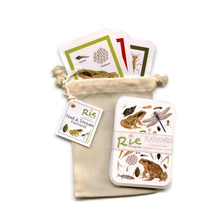 Pond & Stream Flash Cards, Pond Dipping Identification cards