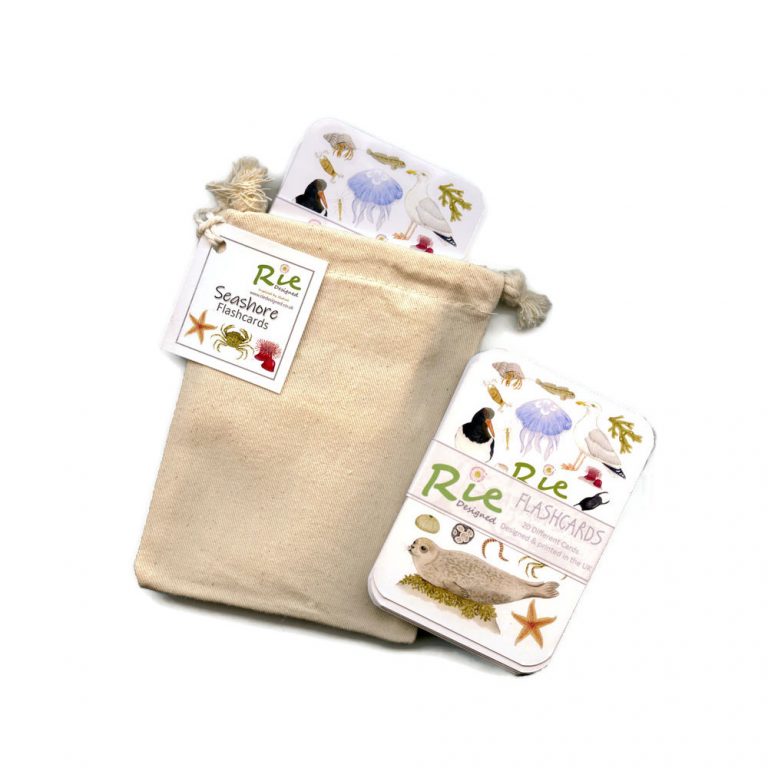 Seashore Flash Cards, Rockpooling Identification cards – Rie Designed