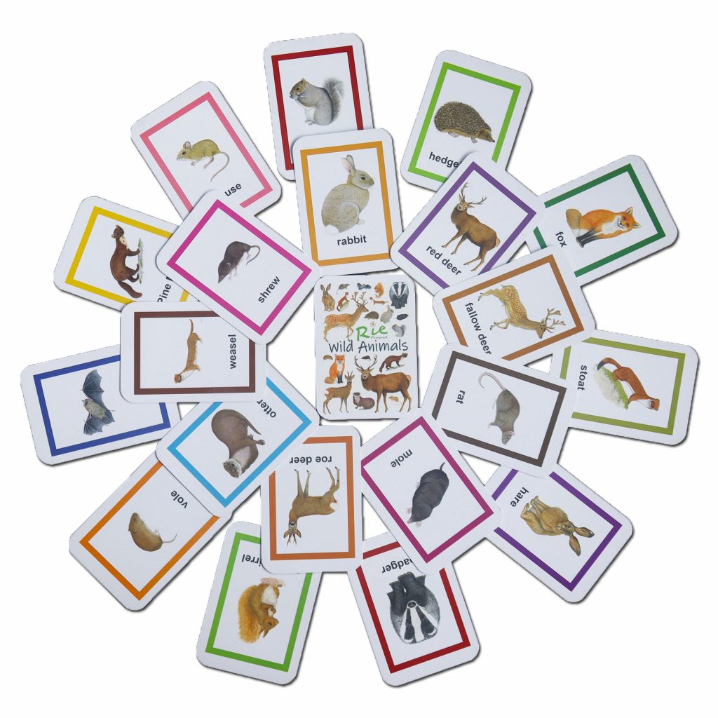 Pack of 20 British wild Animals Flash Cards, Identification cards