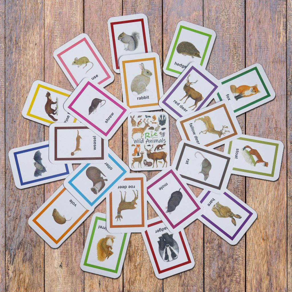 Pack of 20 British wild Animals Flash Cards, Identification cards