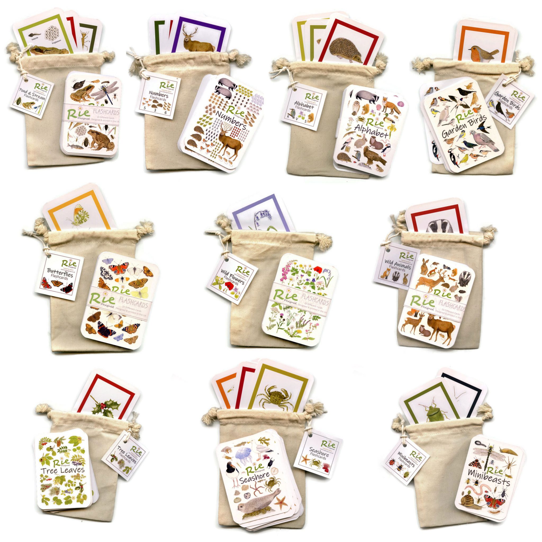 Seashore Flash Cards, Rockpooling Identification cards – Rie Designed
