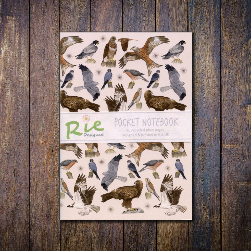 Birds of Prey A6 Plain Paper Recycled Notebook – Rie Designed