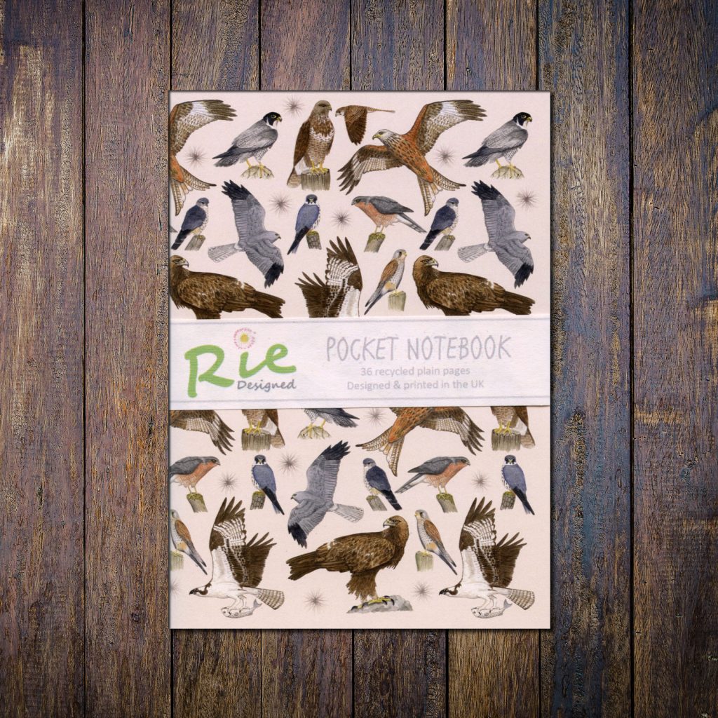 Birds of Prey A6 Plain Paper Recycled Notebook – Rie Designed