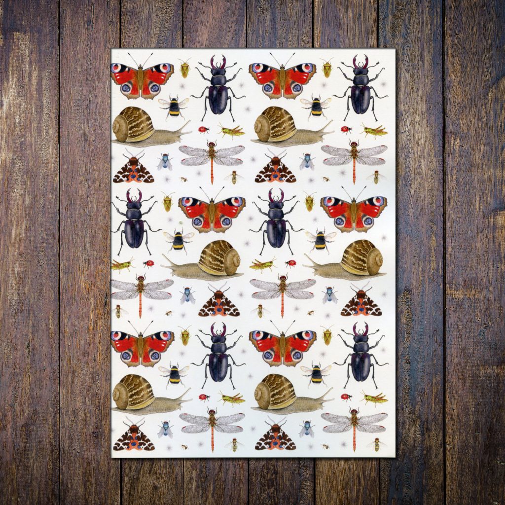 Minibeasts A5 Plain Paper Recycled Notebook