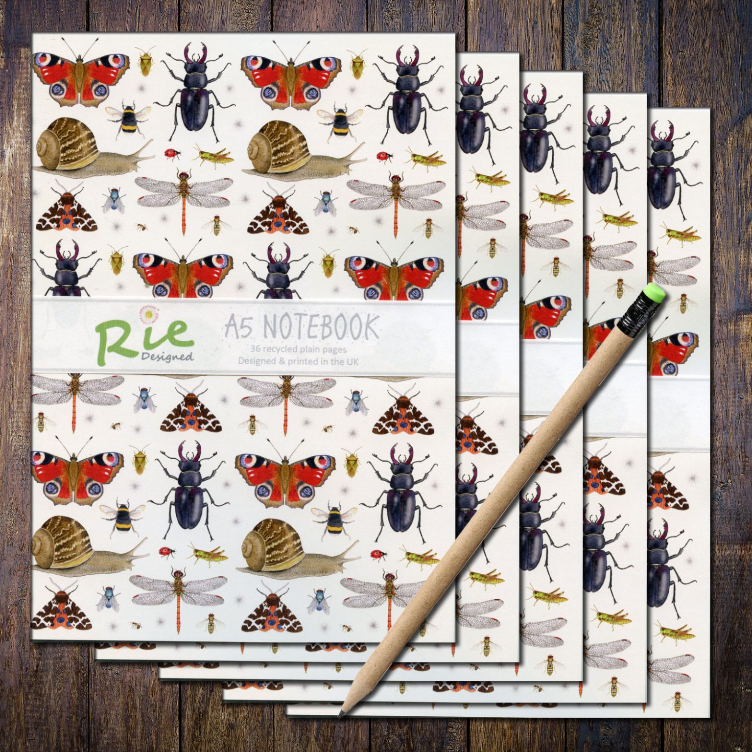 Minibeasts A5 Plain Paper Recycled Notebook