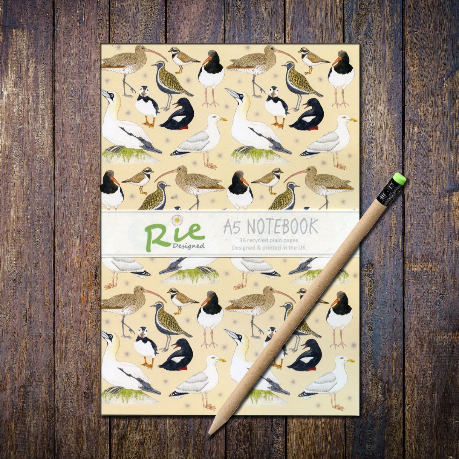 British Garden Birds Identification A3 Card Poster, Art Print