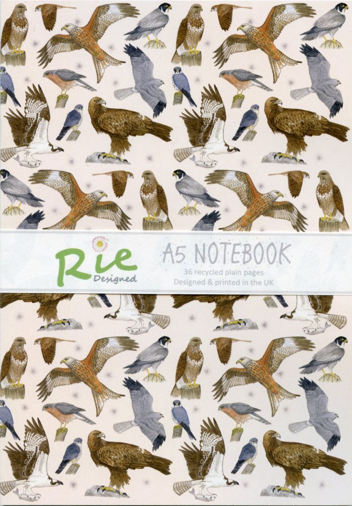 Birds of Prey A5 Plain Paper Recycled Notebook – Rie Designed
