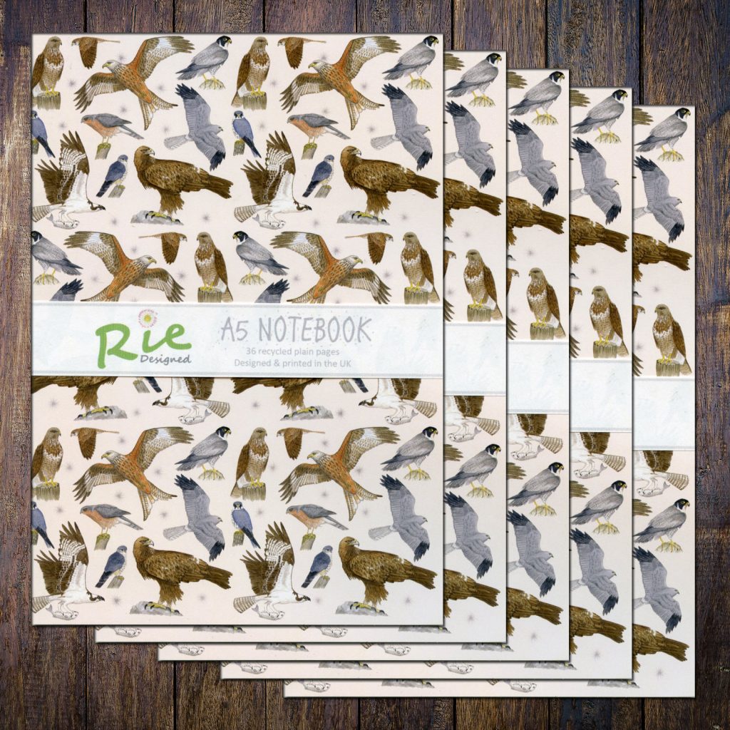 Birds of Prey A5 Plain Paper Recycled Notebook