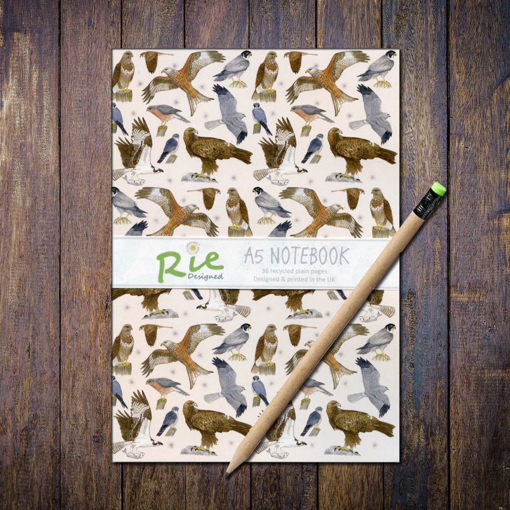 British Garden Birds Identification A3 Card Poster, Art Print