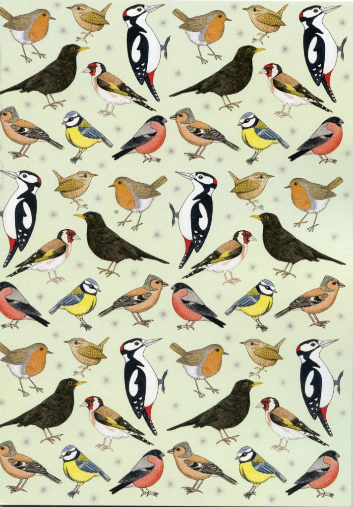 Garden Birds A5 Plain Paper Recycled Notebook – Rie Designed