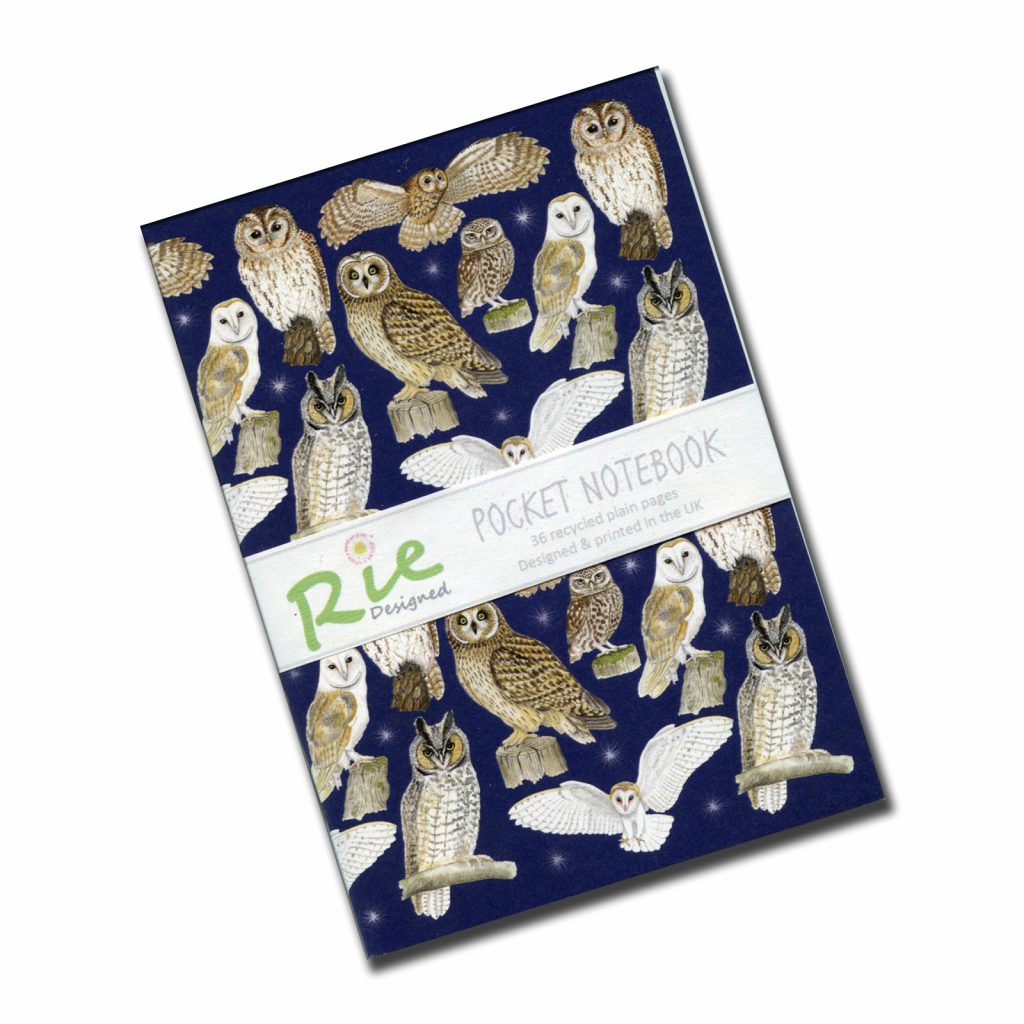 Owls A6 Plain Paper Recycled Notebook