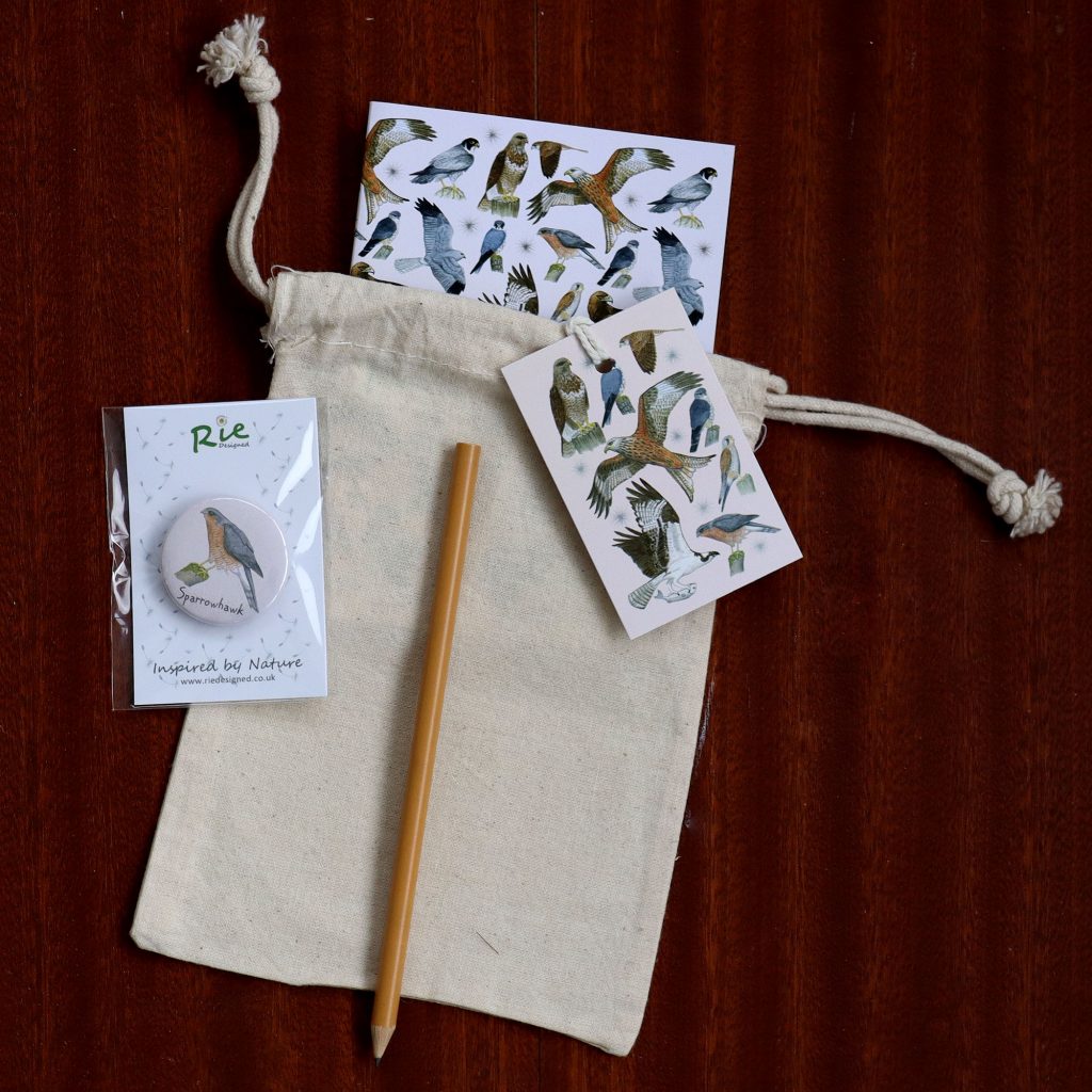 Birds of Prey Small Gift Bag Set, A6 Plain Paper Recycled Notebook ...