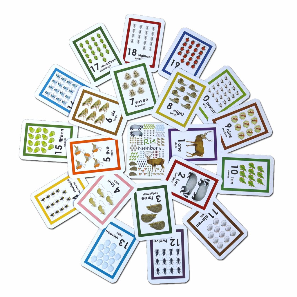 Number 123 Flash Cards, Pond Dipping Identification cards
