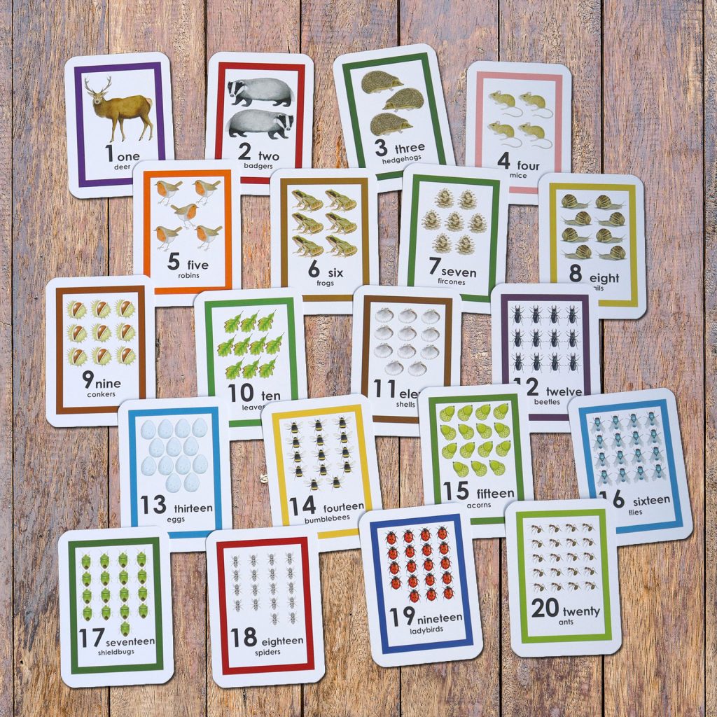 Number 123 Flash Cards, Pond Dipping Identification cards