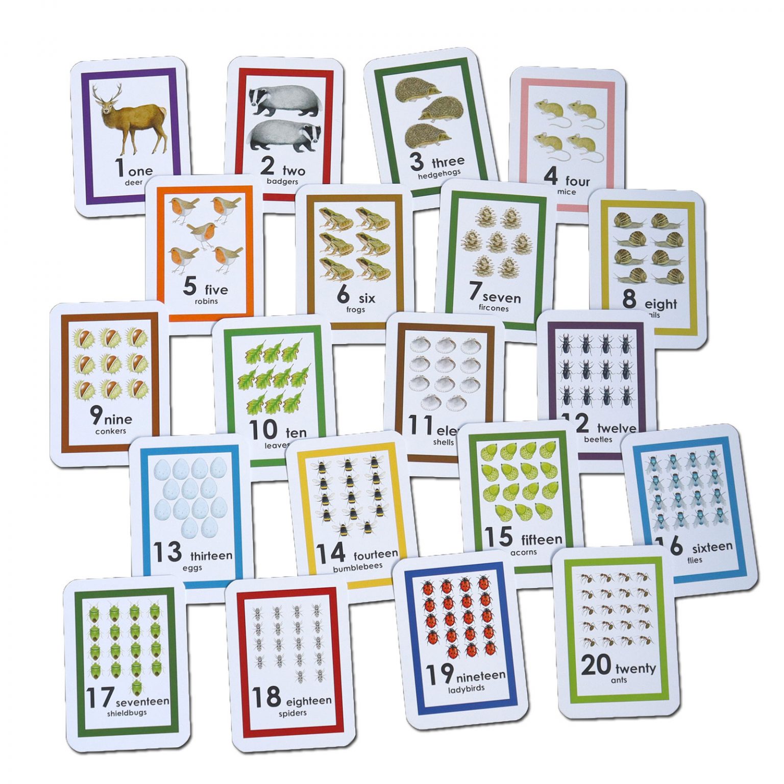 Number 123 Flash Cards, Pond Dipping Identification cards