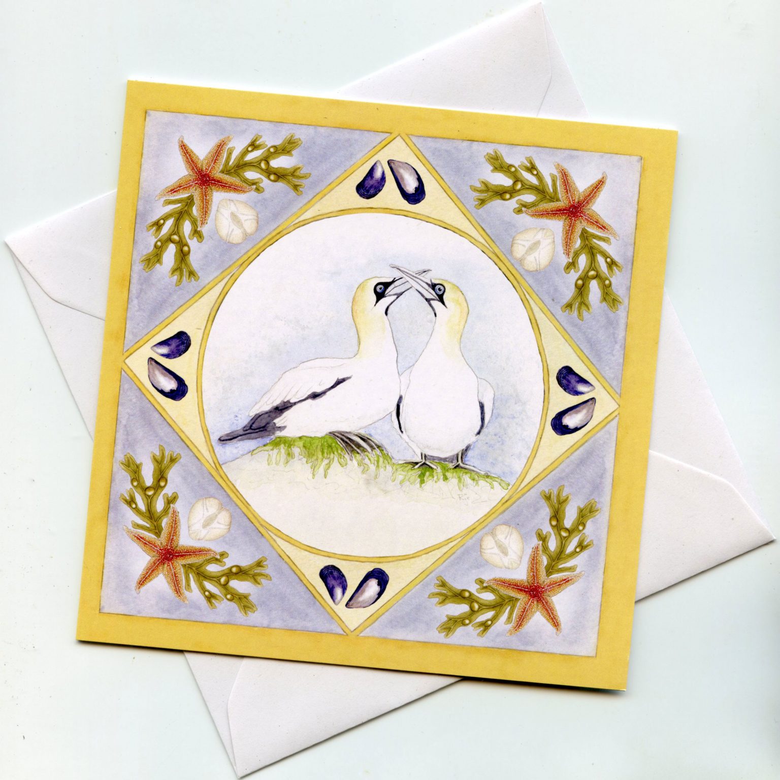 Puffins Blank Square Greetings Card