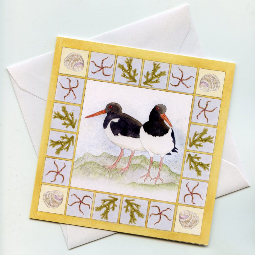 Puffins Blank Square Greetings Card