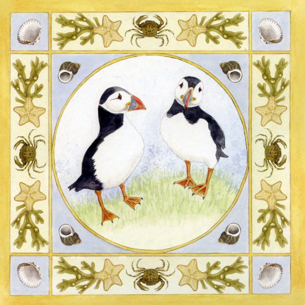 Oystercatchers Blank Square Greetings Card